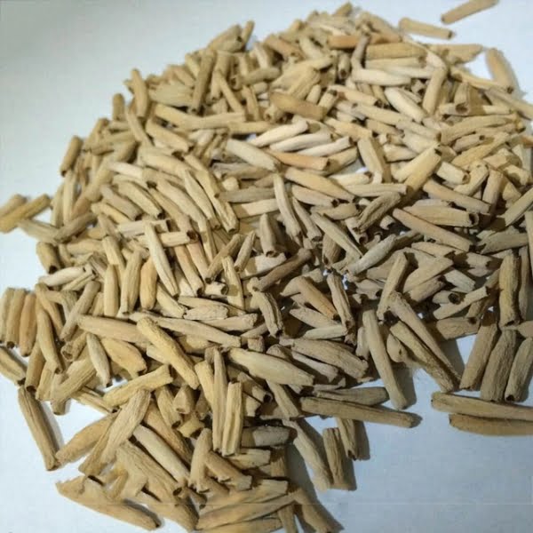 Adenium Obesum Desert Rose Seeds – Fire of Love Flower Seeds for Garden ...